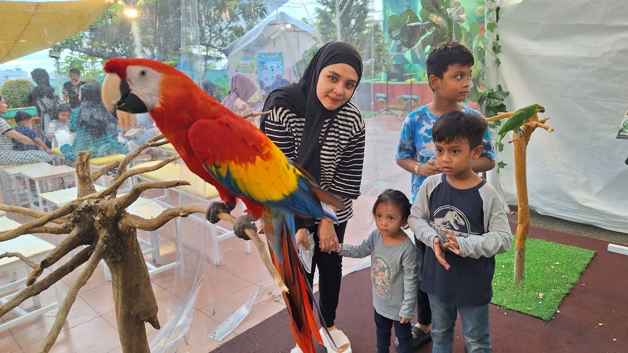 Bogor Bird Zoo Akan Hadir di Pakansari, Ikon Baru Wisata Konservasi dan ...